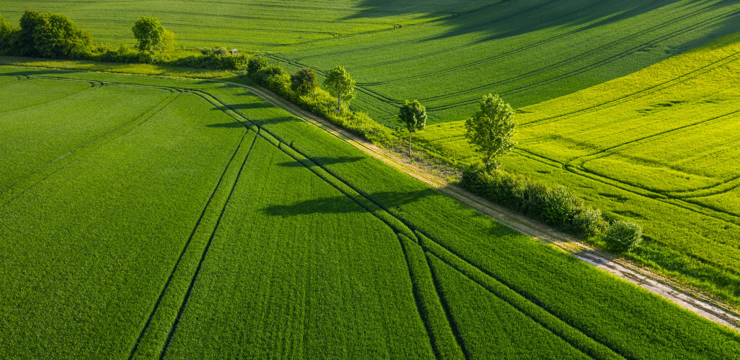 Hoạt động và kết quả ESG | Tập đoàn CJ